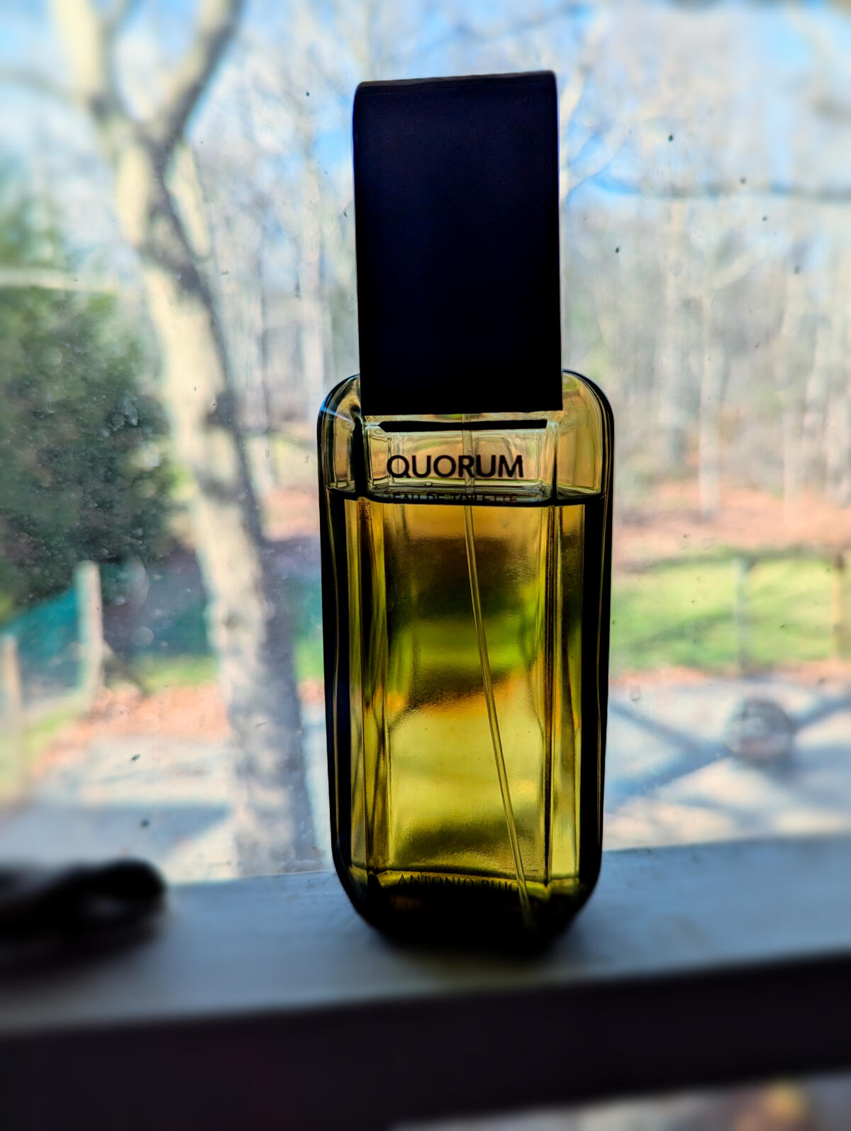 Quorum Antonio Puig cologne - a fragrance for men 1981