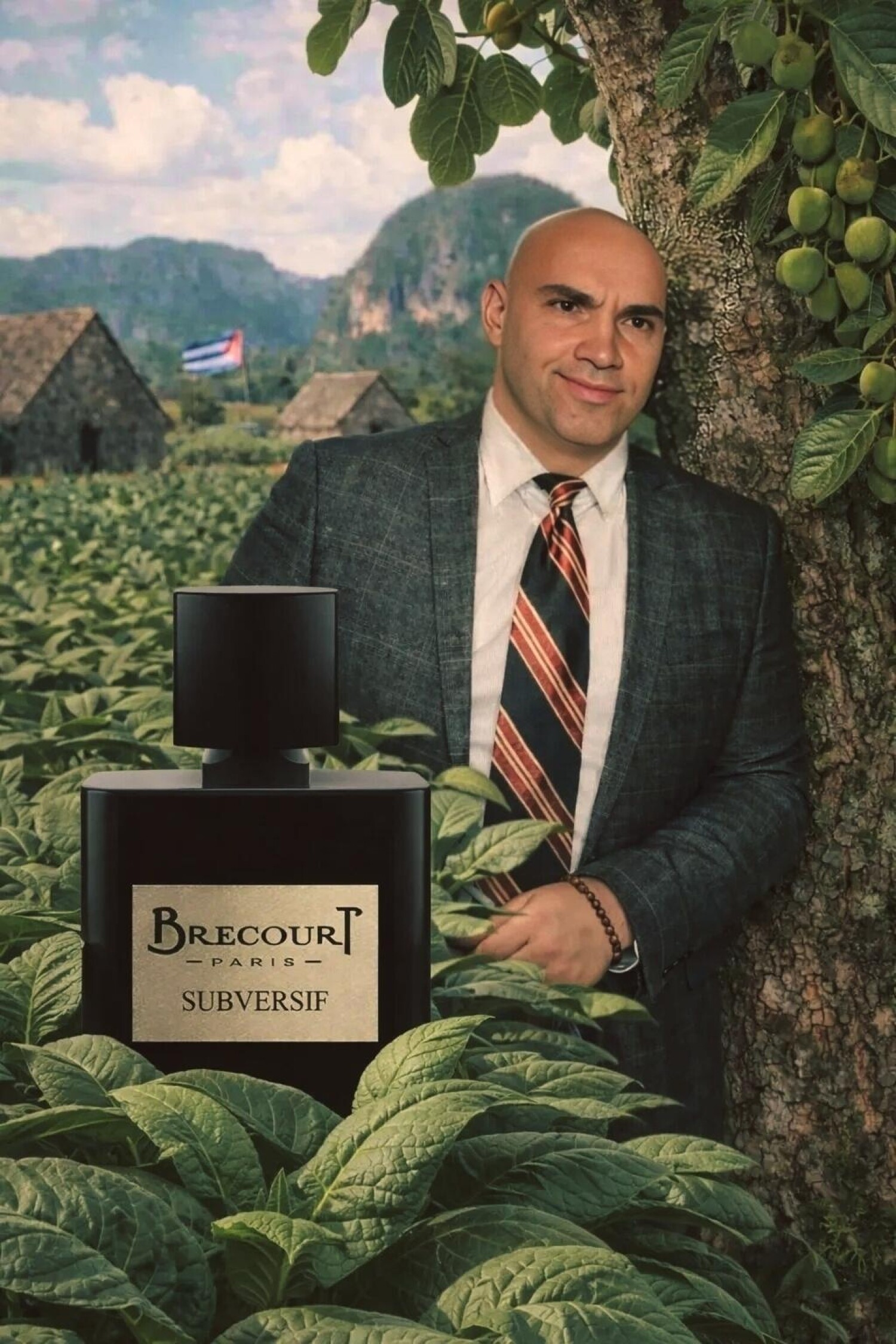 Subversif Brecourt perfume - a fragrance for women and men 2016