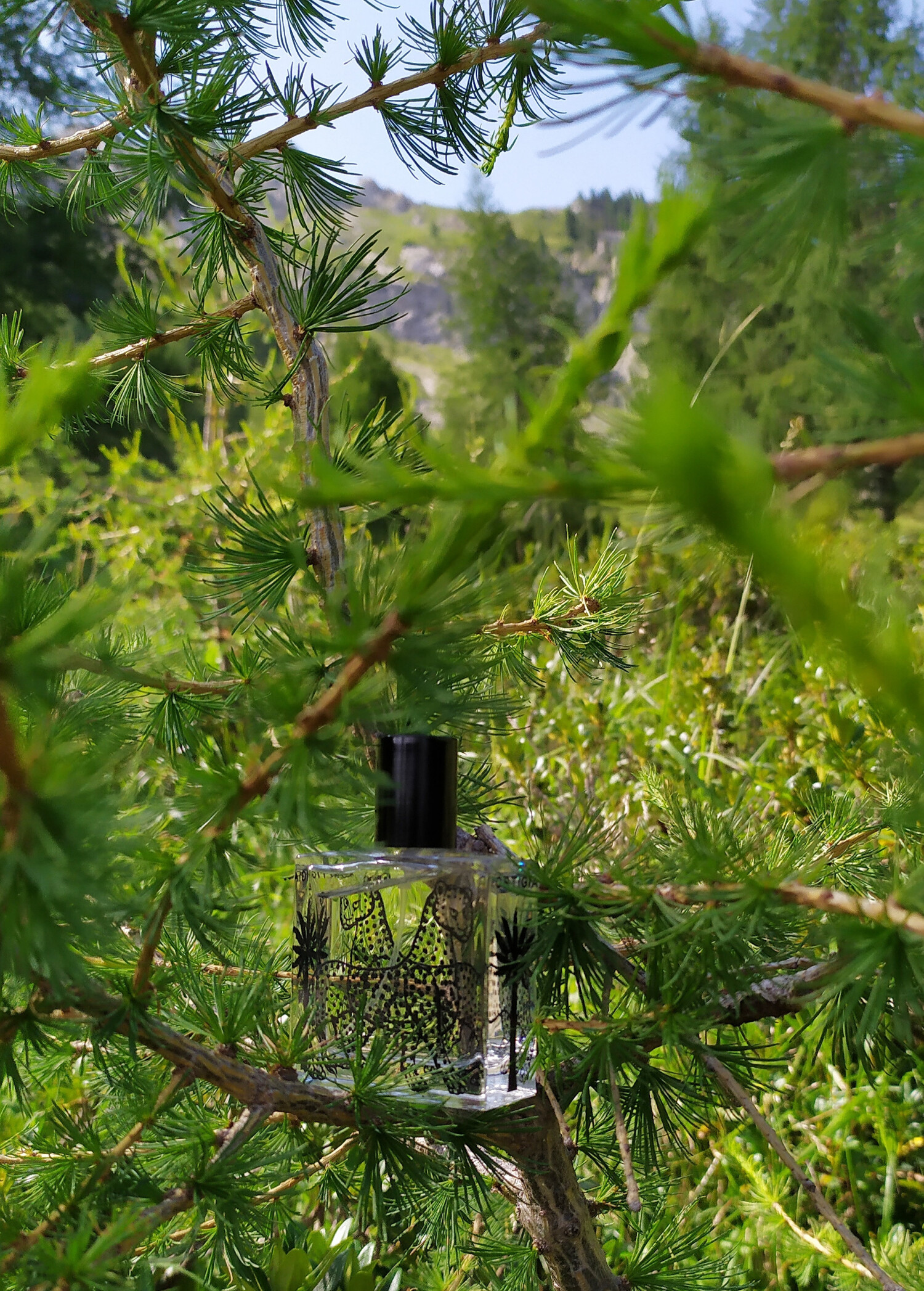 Florio Ortigia Sicilia perfume - a fragrance for women and men