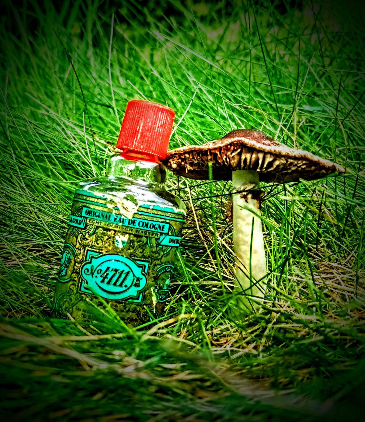 4711 Original Eau de Cologne 4711 perfume - a fragrance for women and ...