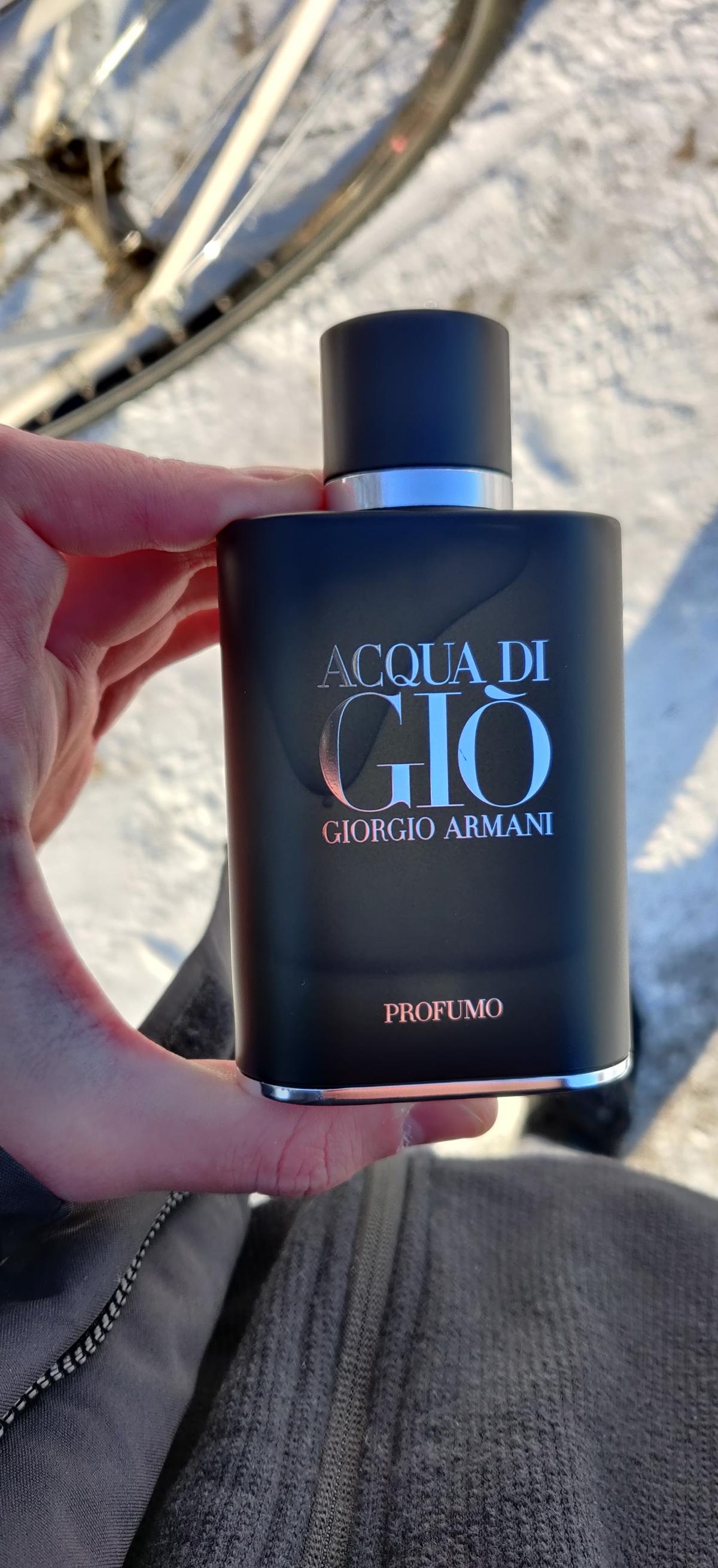 Acqua di Giò Profumo Giorgio Armani colônia - a fragrância Masculino 2015