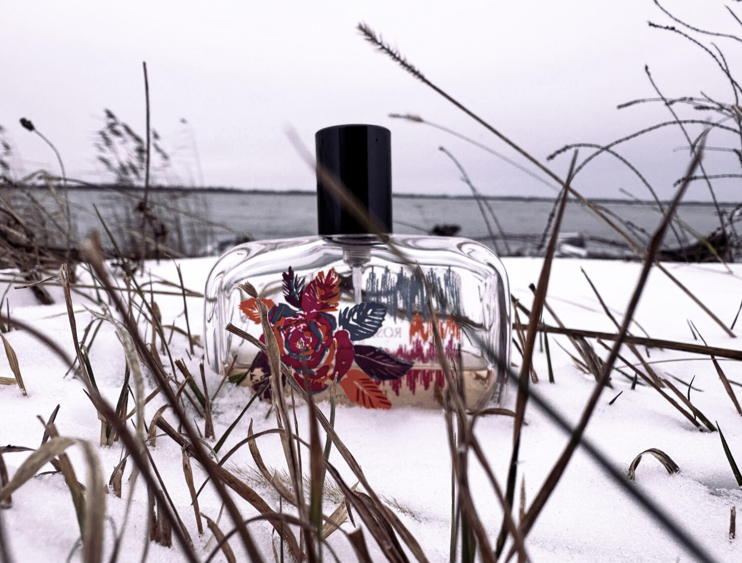 Rose Ambre Fragonard perfume - a fragrance for women 2014