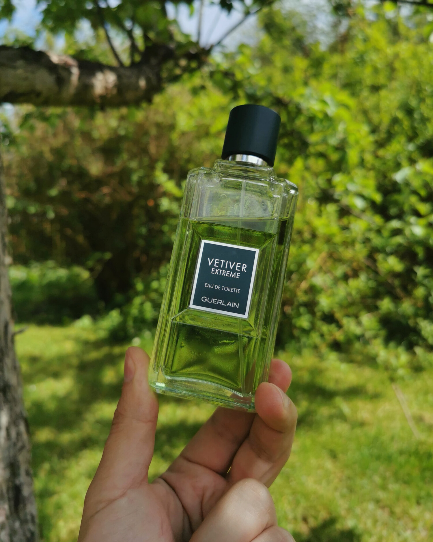 Vetiver Extreme Guerlain одеколон — аромат для мужчин 2007