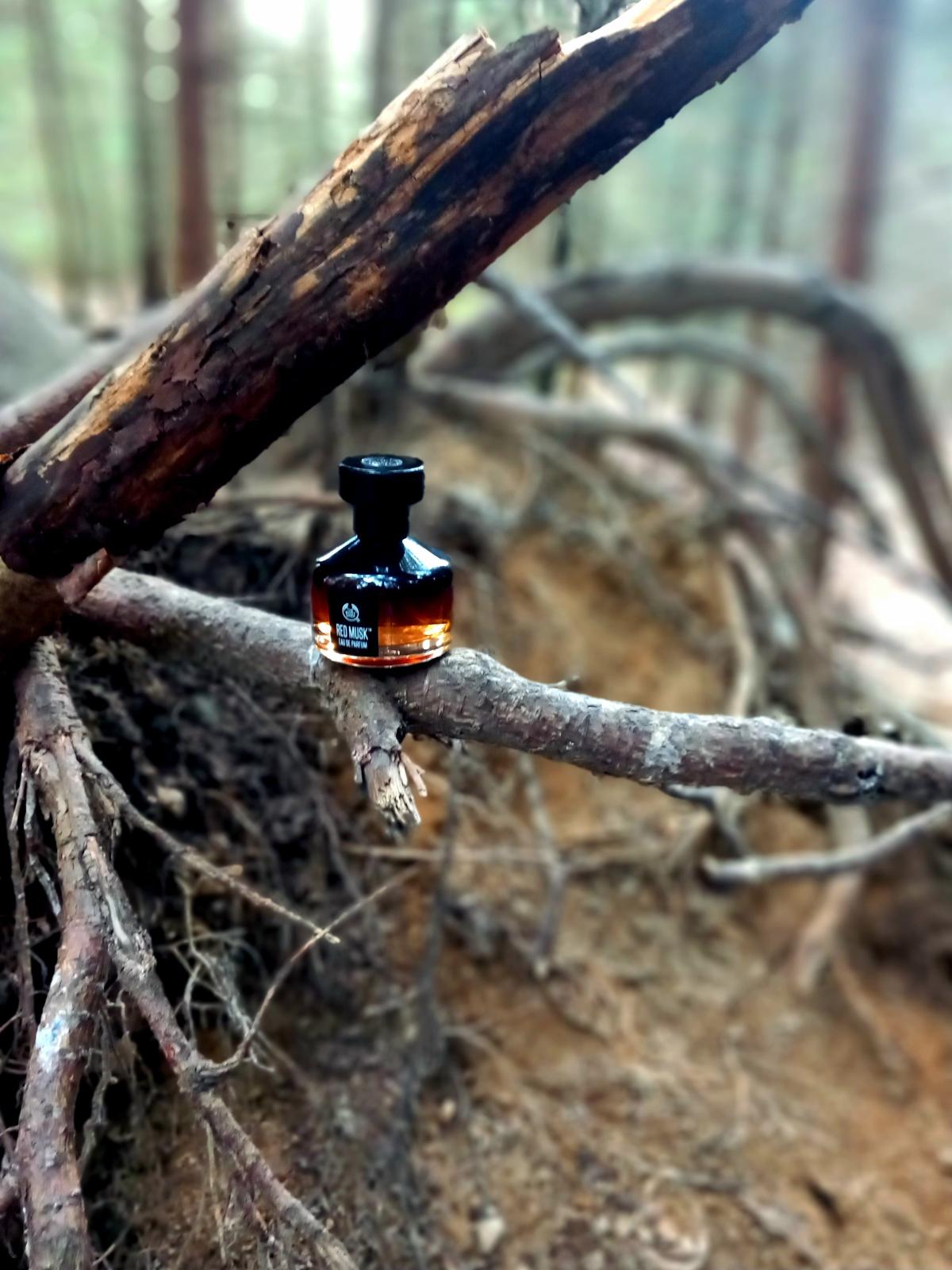 Red Musk The Body Shop perfume - a fragrance for women 2014