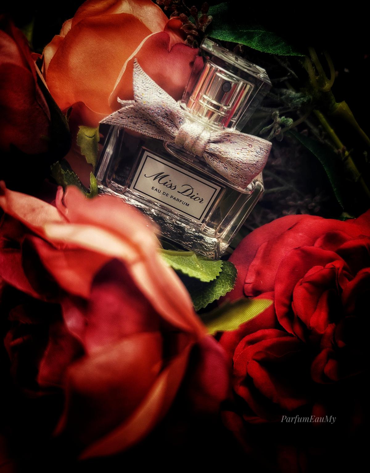 Miss Dior Eau de Parfum (2021) Dior perfume - a new fragrance for women ...