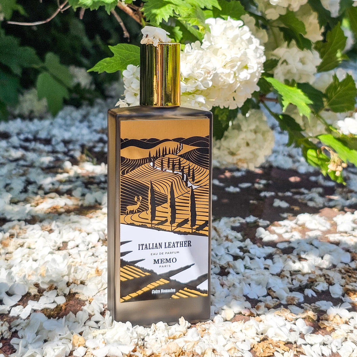 Italian Leather Memo Paris perfume - a fragrance for women and men 2013