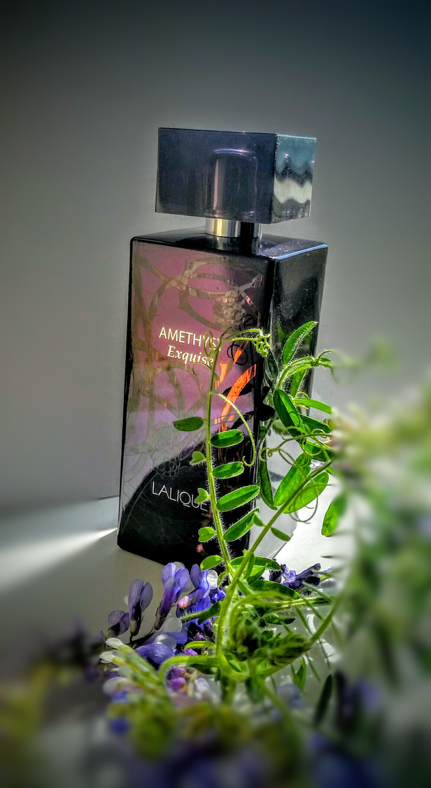 Amethyst Exquise Lalique perfume - a fragrance for women 2017