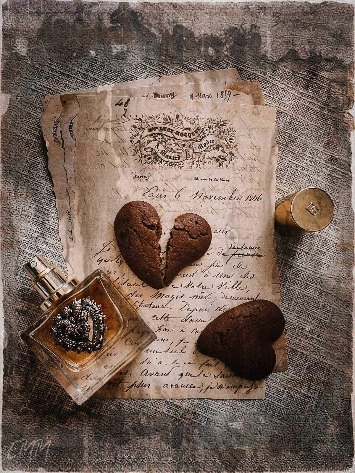 Devotion Dolce&Gabbana perfume - a new fragrance for women 2023