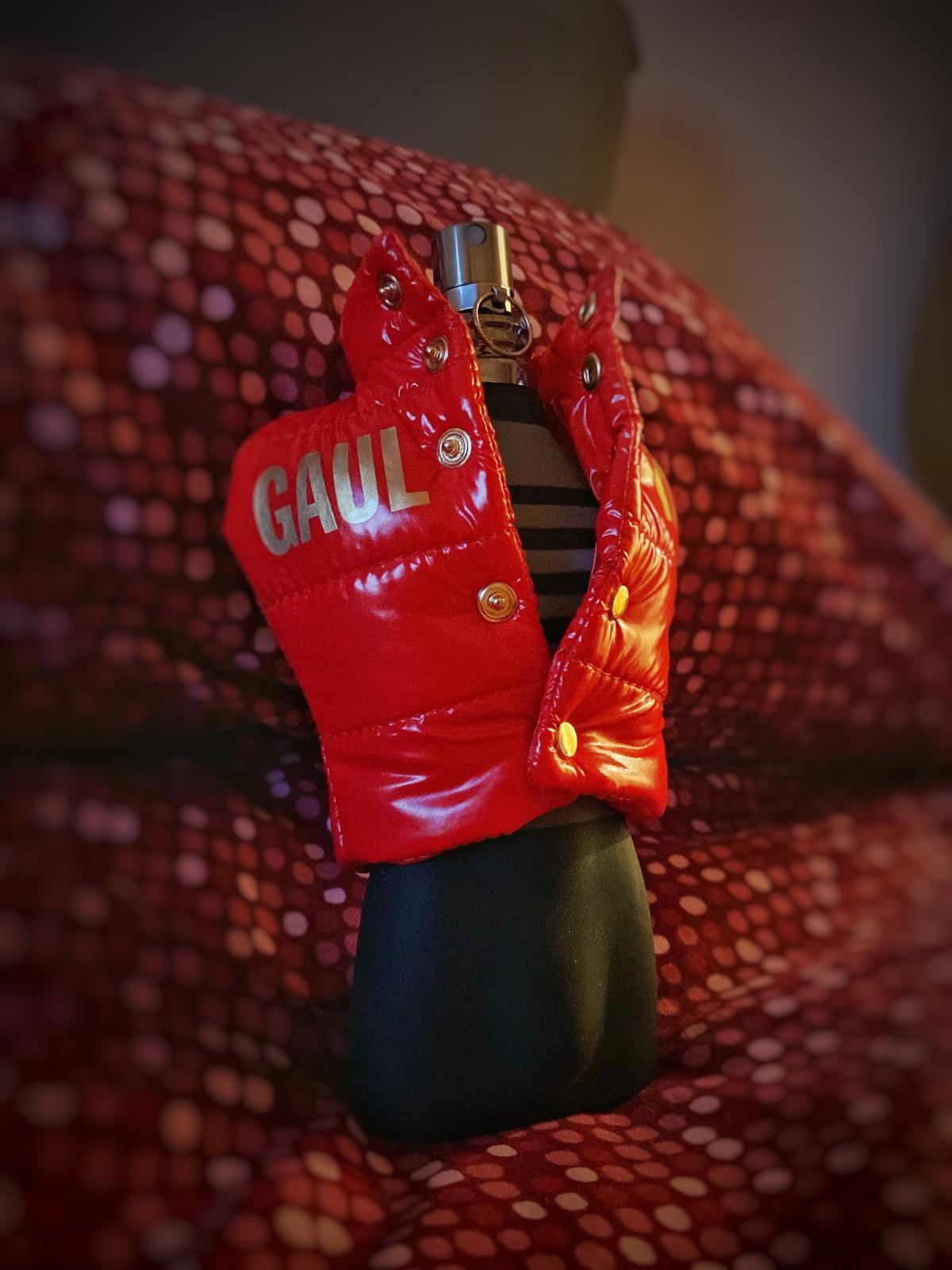 Le Male Collector Edition 2022 Jean Paul Gaultier cologne - a fragrance ...