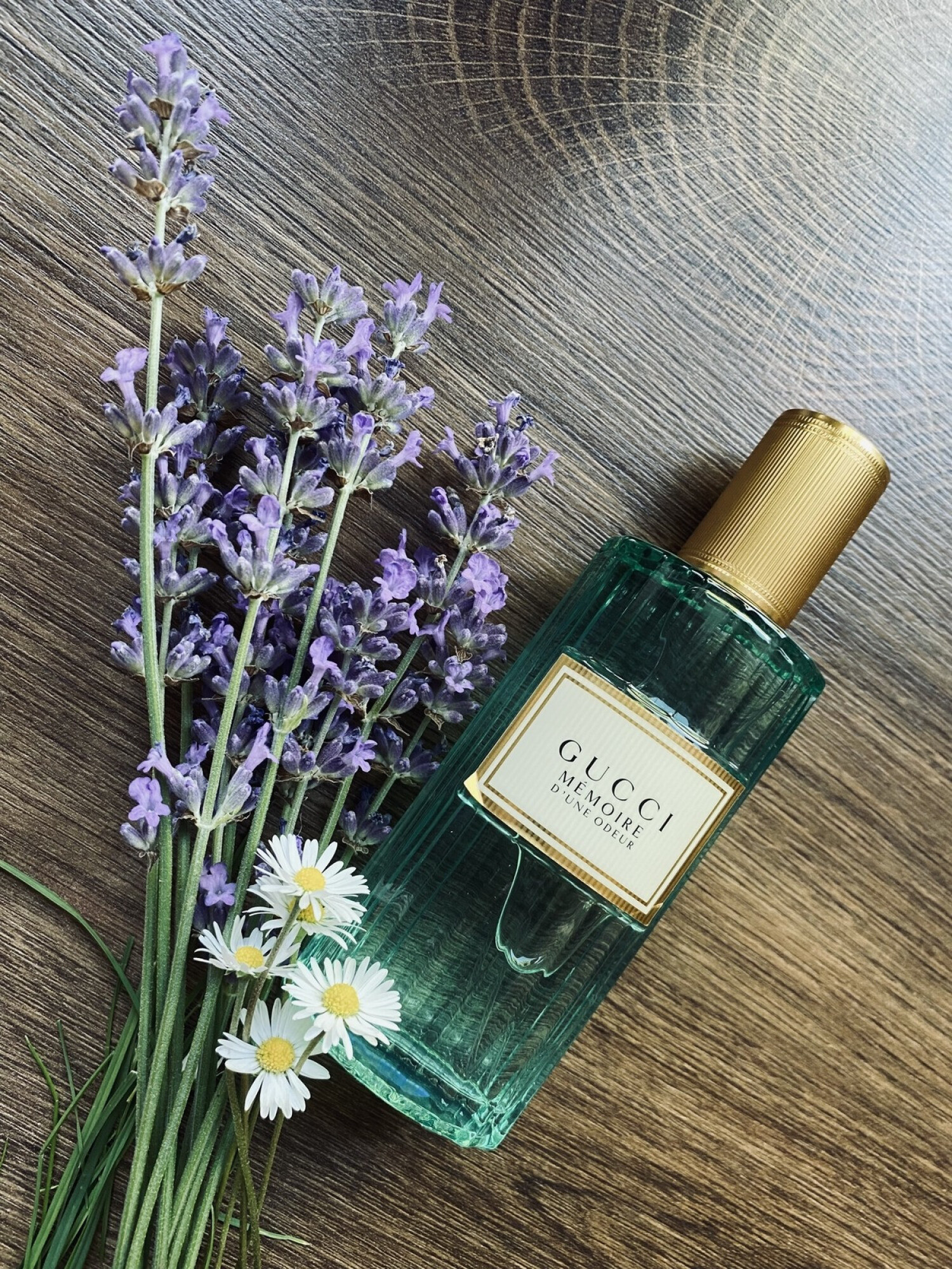 Mémoire d’une Odeur Gucci perfume - a fragrance for women and men 2019