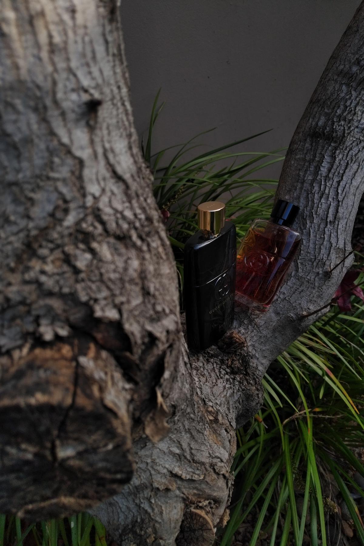 Gucci Guilty Absolute Gucci cologne - a fragrance for men 2017