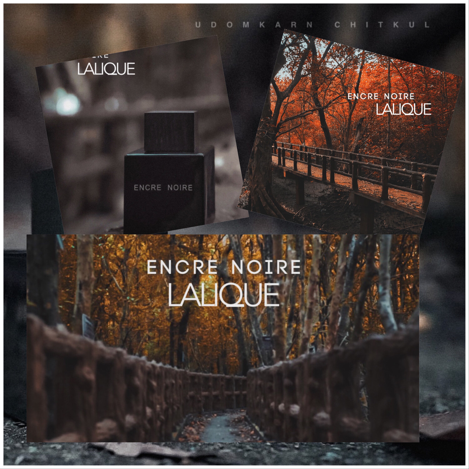 Encre Noire Lalique cologne - a fragrance for men 2006