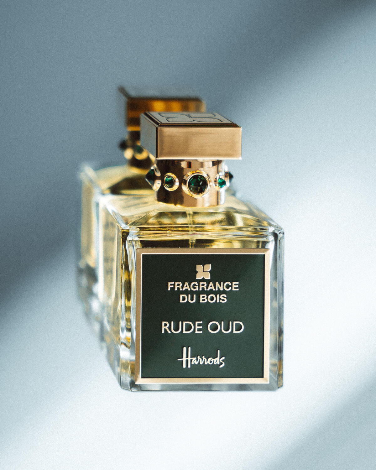 Rude Oud Fragrance Du Bois аромат — новый аромат для мужчин и женщин 2024