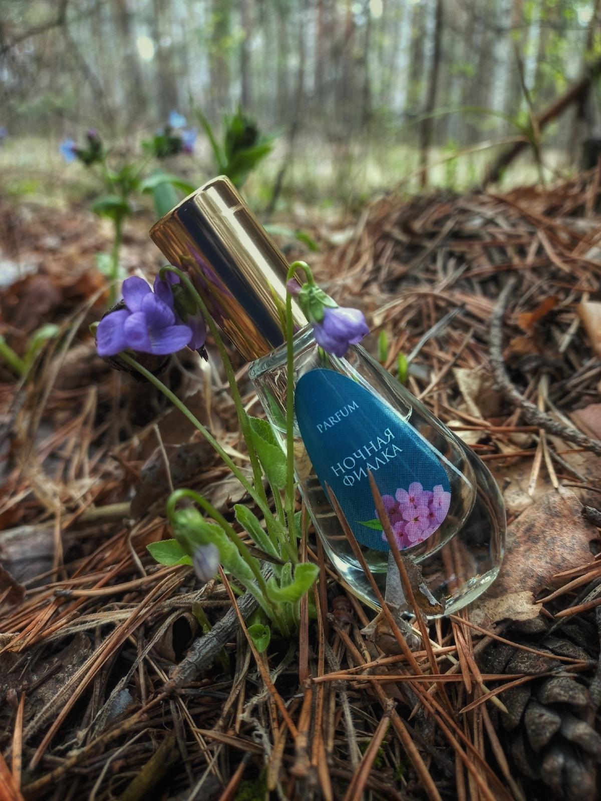 Nochnaya Fialka Dilís Parfum perfume - a fragrance for women 2006