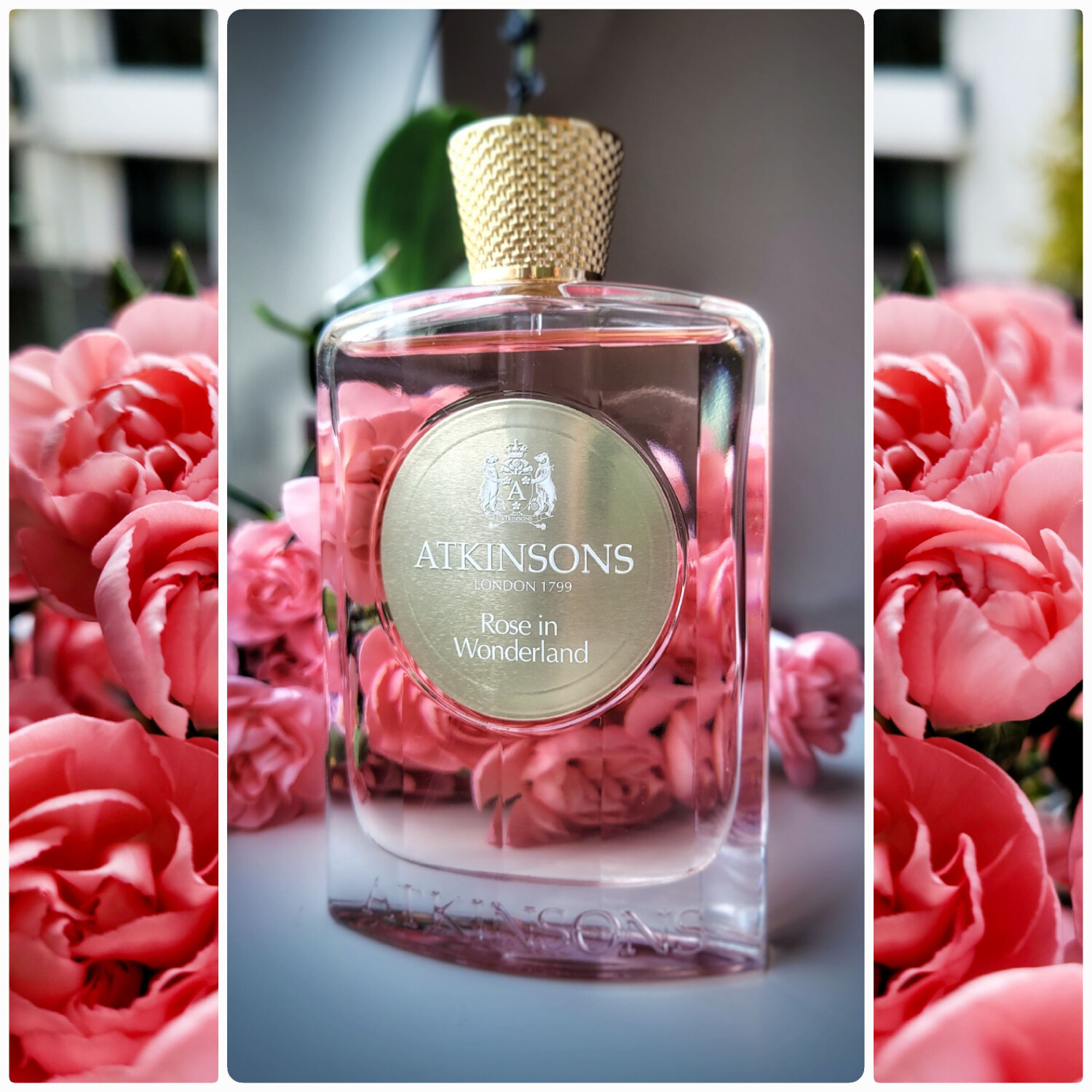 Rose in Wonderland Atkinsons perfume - a fragrance for women and men 2014