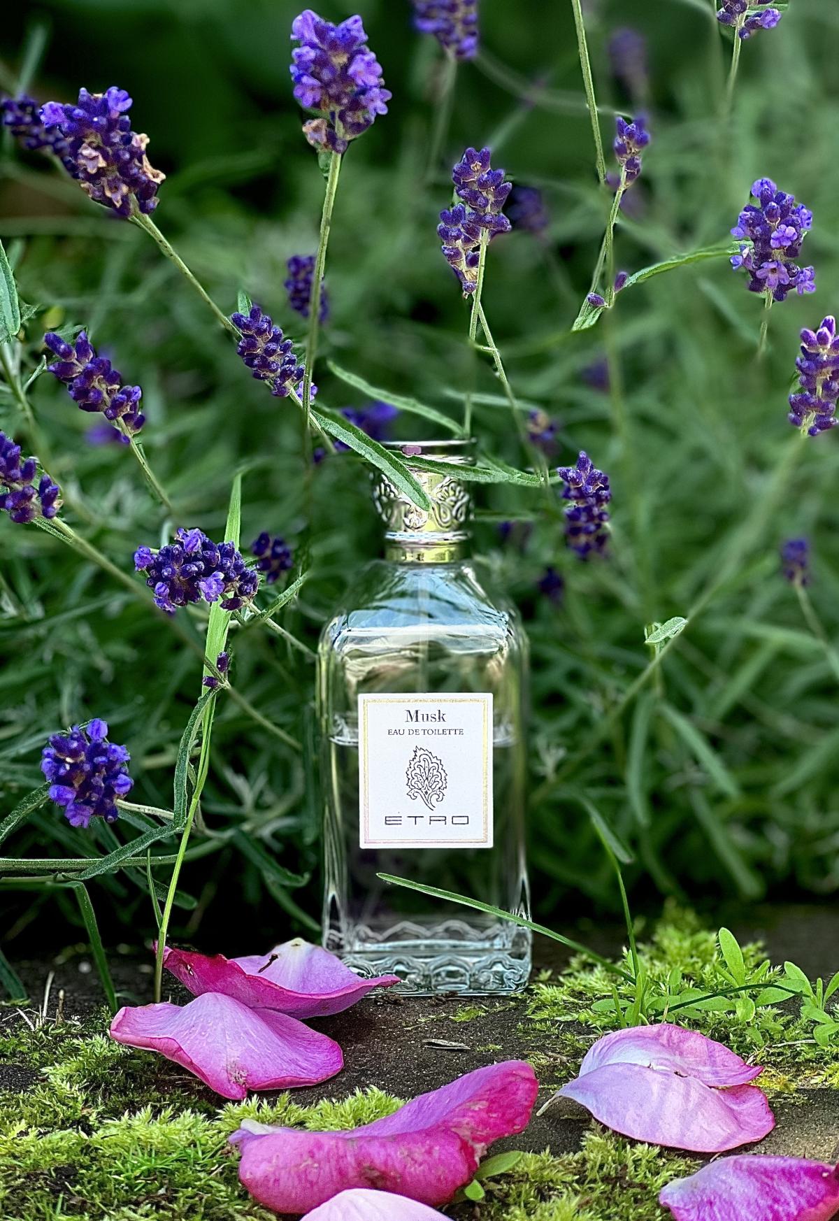 Relent Etro perfume - a fragrance for women and men 2010