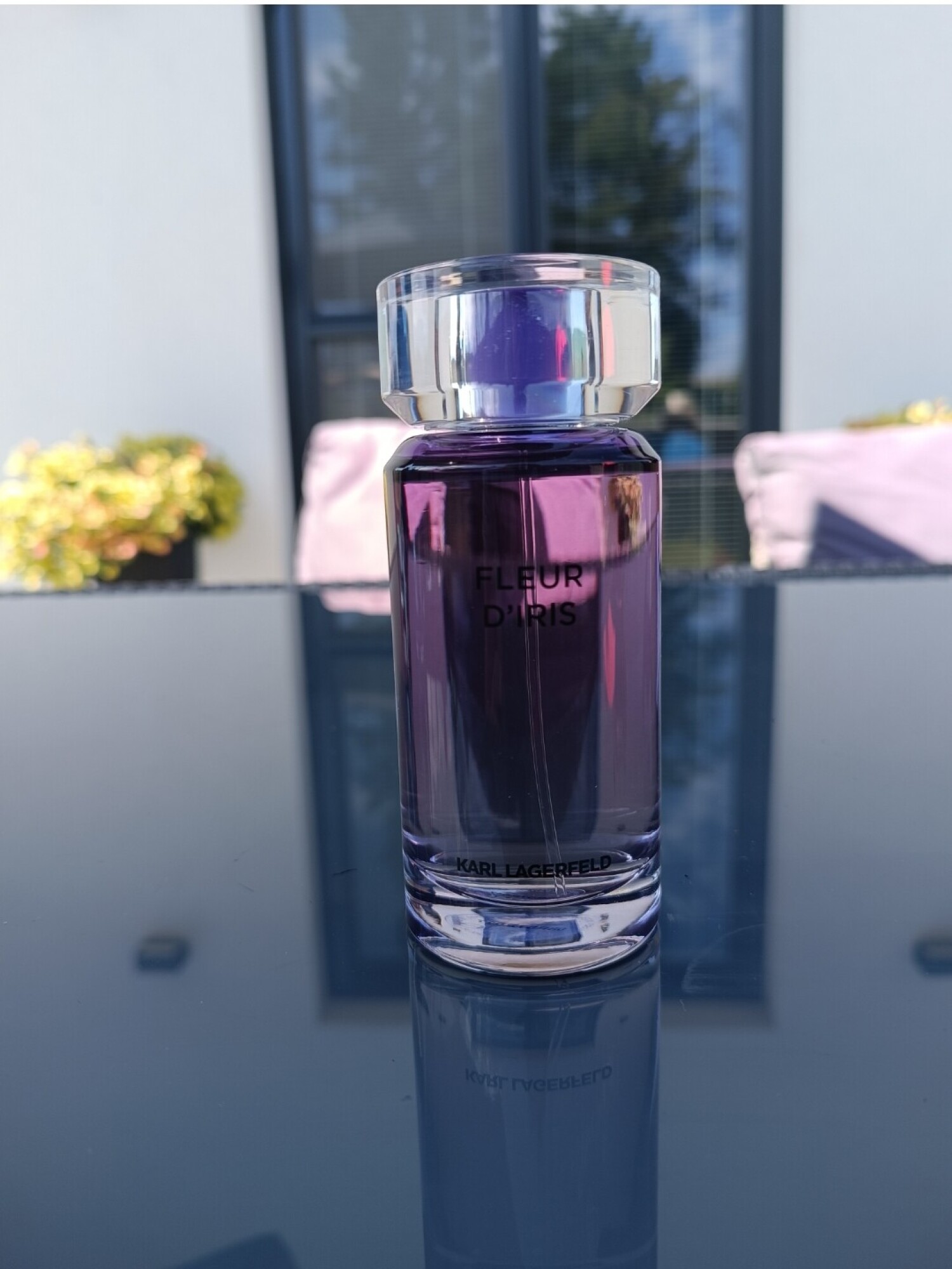 Fleur D'Iris Karl Lagerfeld perfume - a new fragrance for women 2025