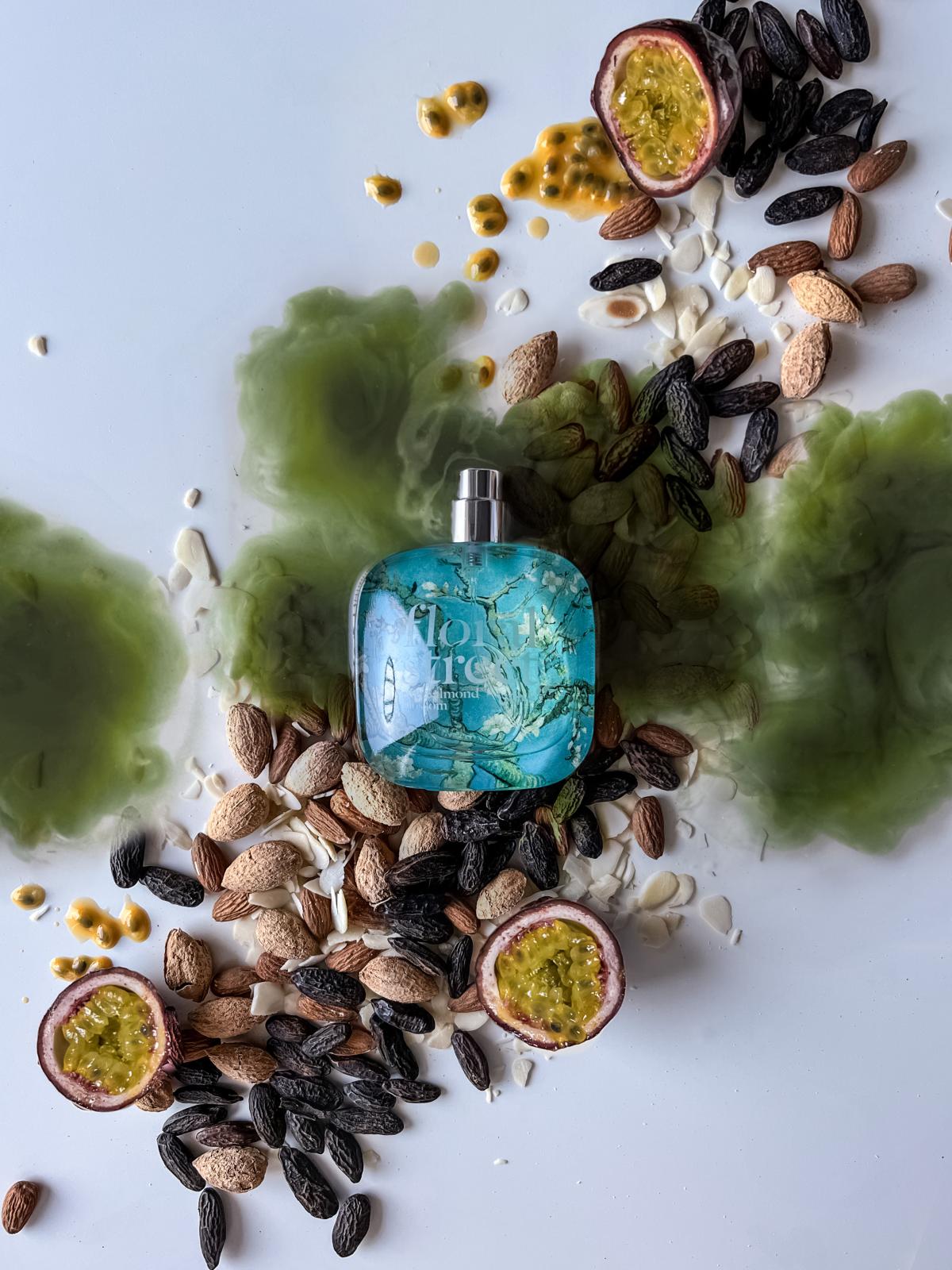 Sweet Almond Blossom Floral Street perfume - a fragrance for women and ...