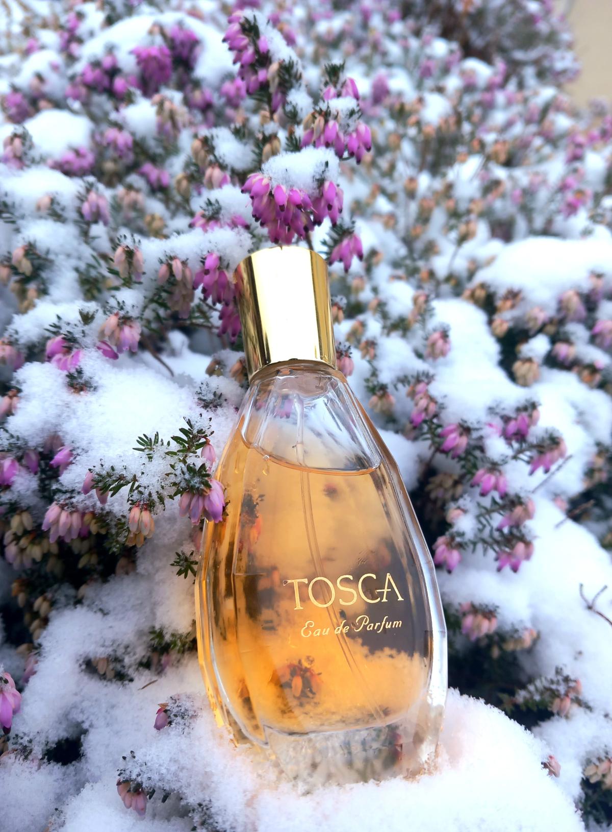 Tosca Tosca perfume - a fragrance for women 1921