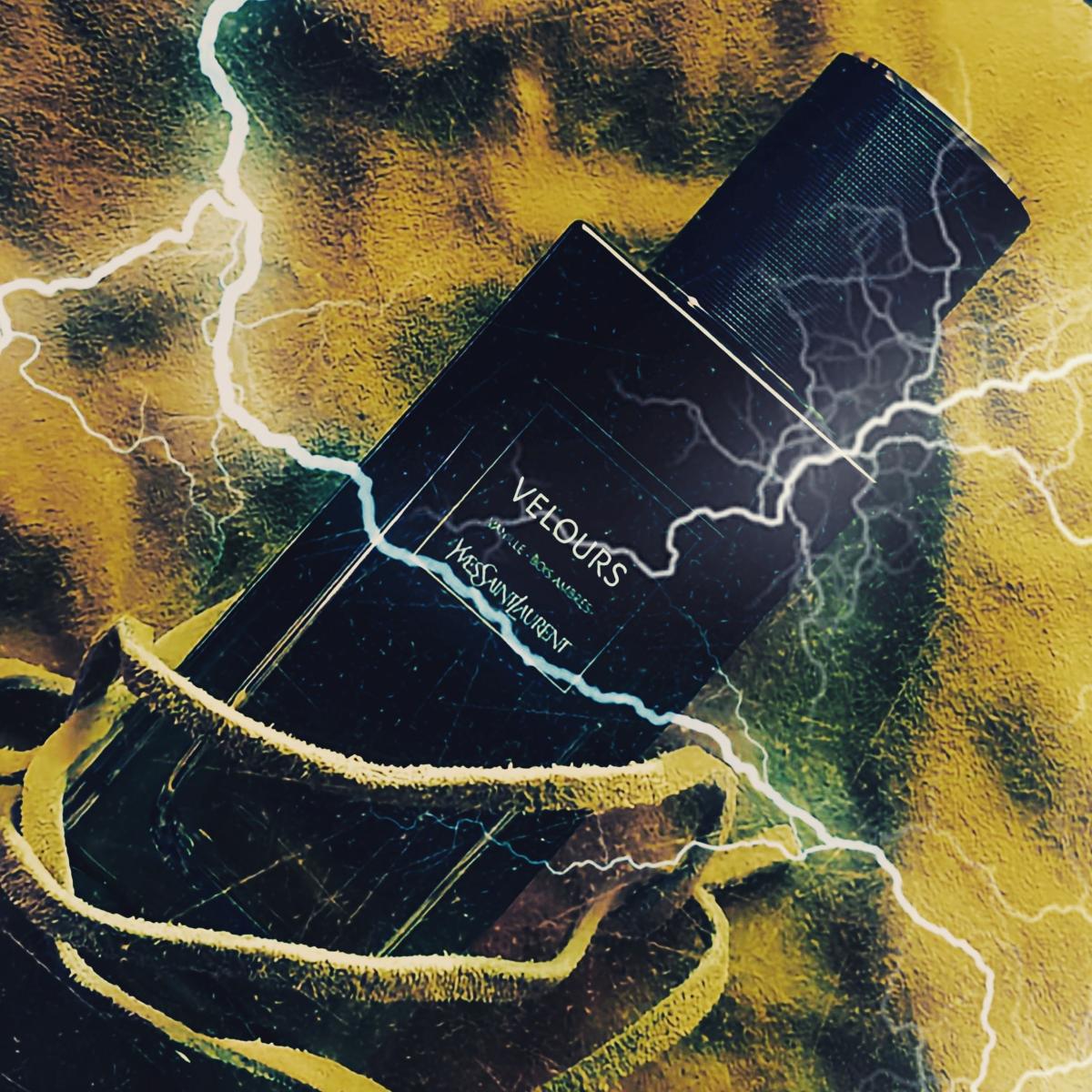 Velours Yves Saint Laurent perfume - a fragrance for women and men 2016