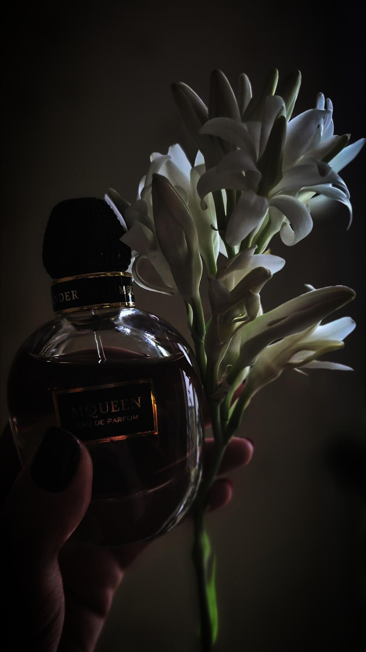 McQueen Eau de Parfum Alexander McQueen perfume - a fragrance for women ...