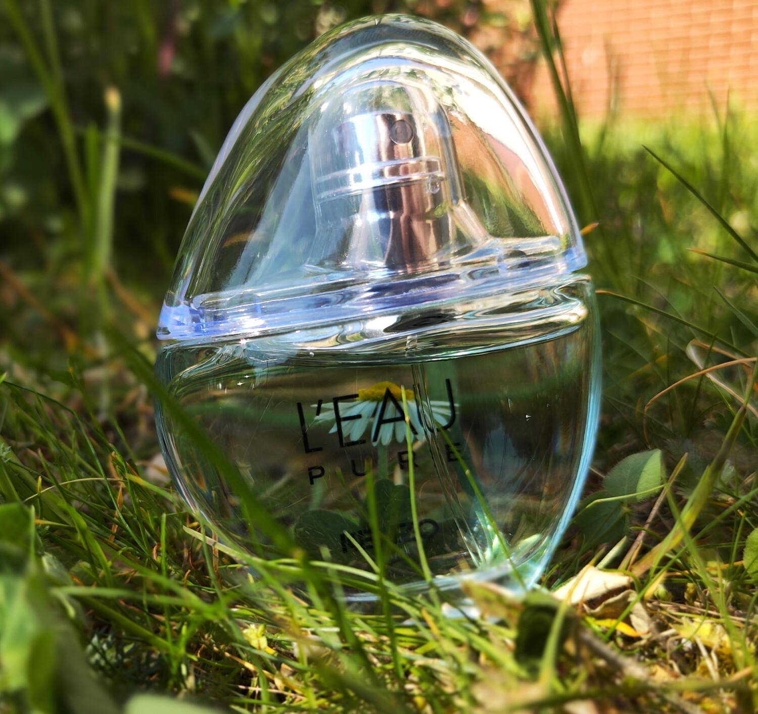 L'Eau Pure Kenzo аромат — новый аромат для мужчин и женщин 2025