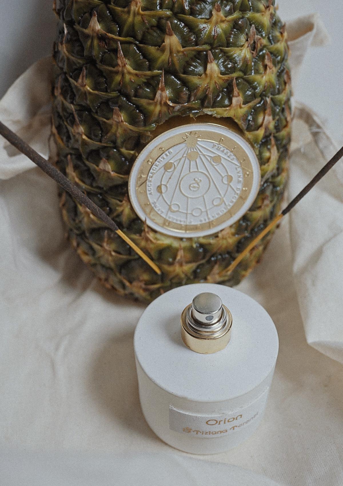 Orion Tiziana Terenzi perfume - a fragrance for women and men 2015