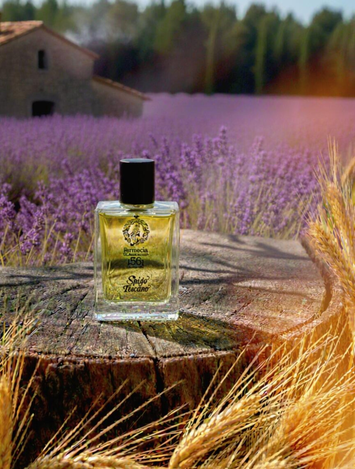 Spigo Toscano Farmacia SS. Annunziata perfume - a fragrance for women ...