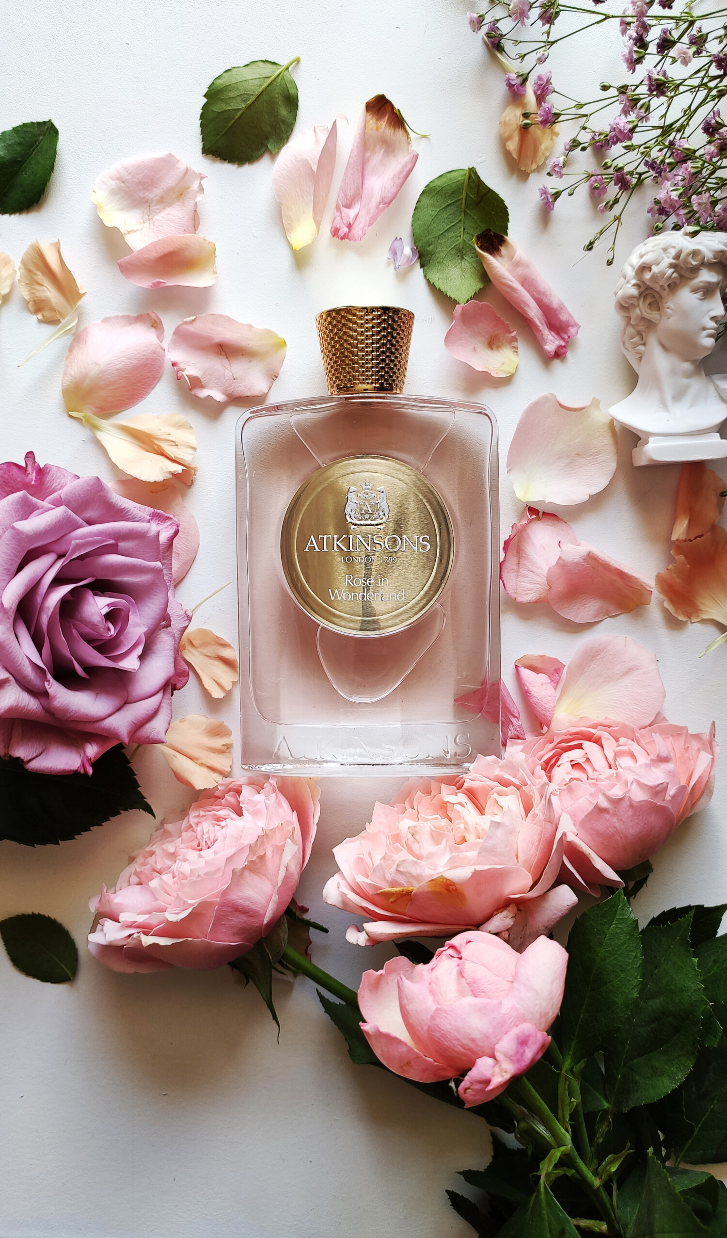 Rose in Wonderland Atkinsons perfume - a fragrance for women and men 2014