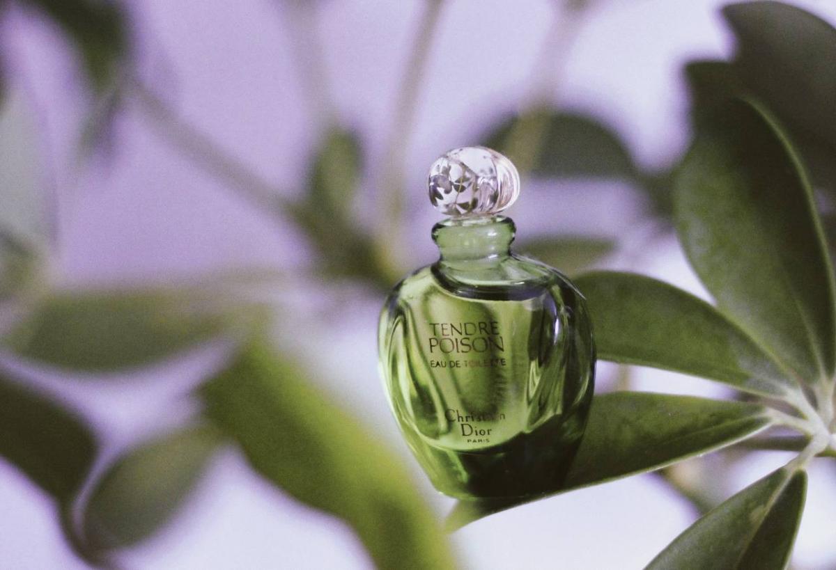Tendre Poison Dior perfume - a fragrance for women 1994