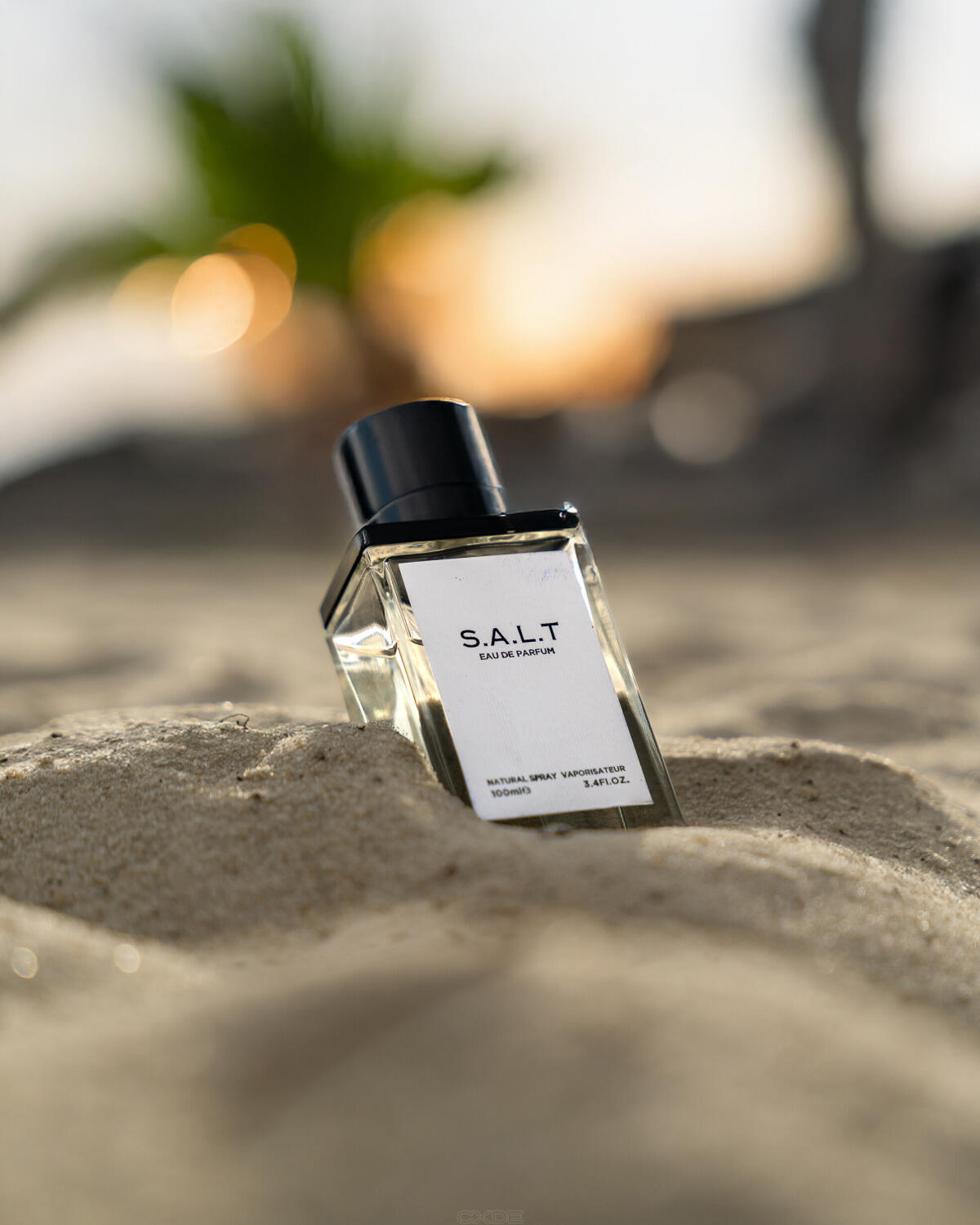Salt Fragrance World cologne - a fragrance for men 2023