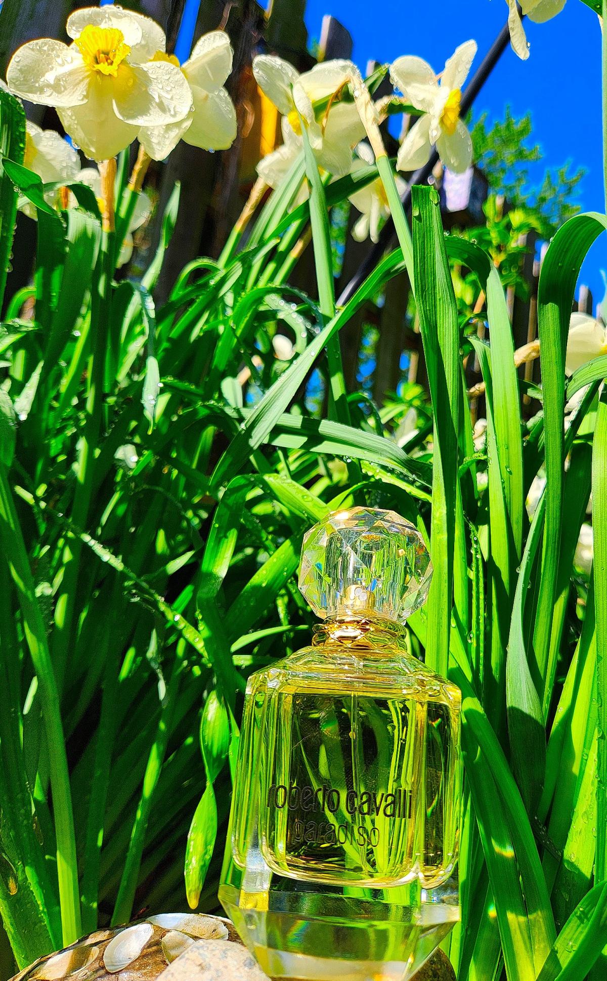 Paradiso Roberto Cavalli perfume - a fragrance for women 2015