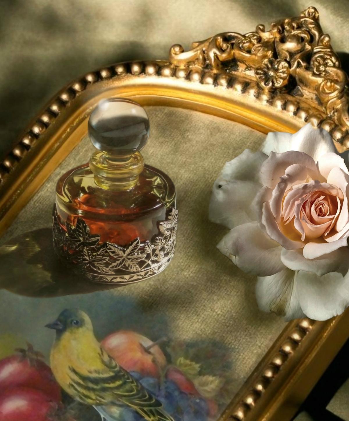 Rose Malaki Swiss Arabian perfume - a fragrance for women and men