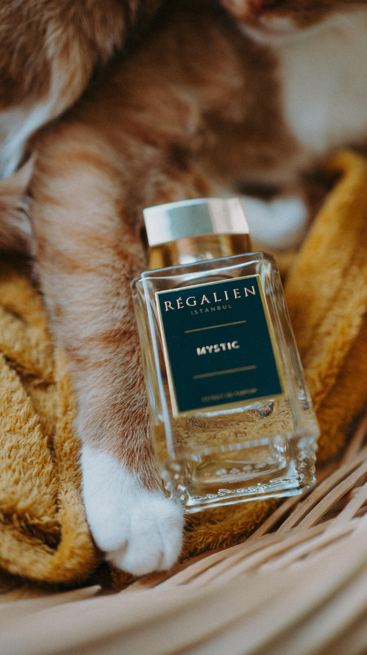 Mystic Regalien аромат — аромат для мужчин и женщин 2018