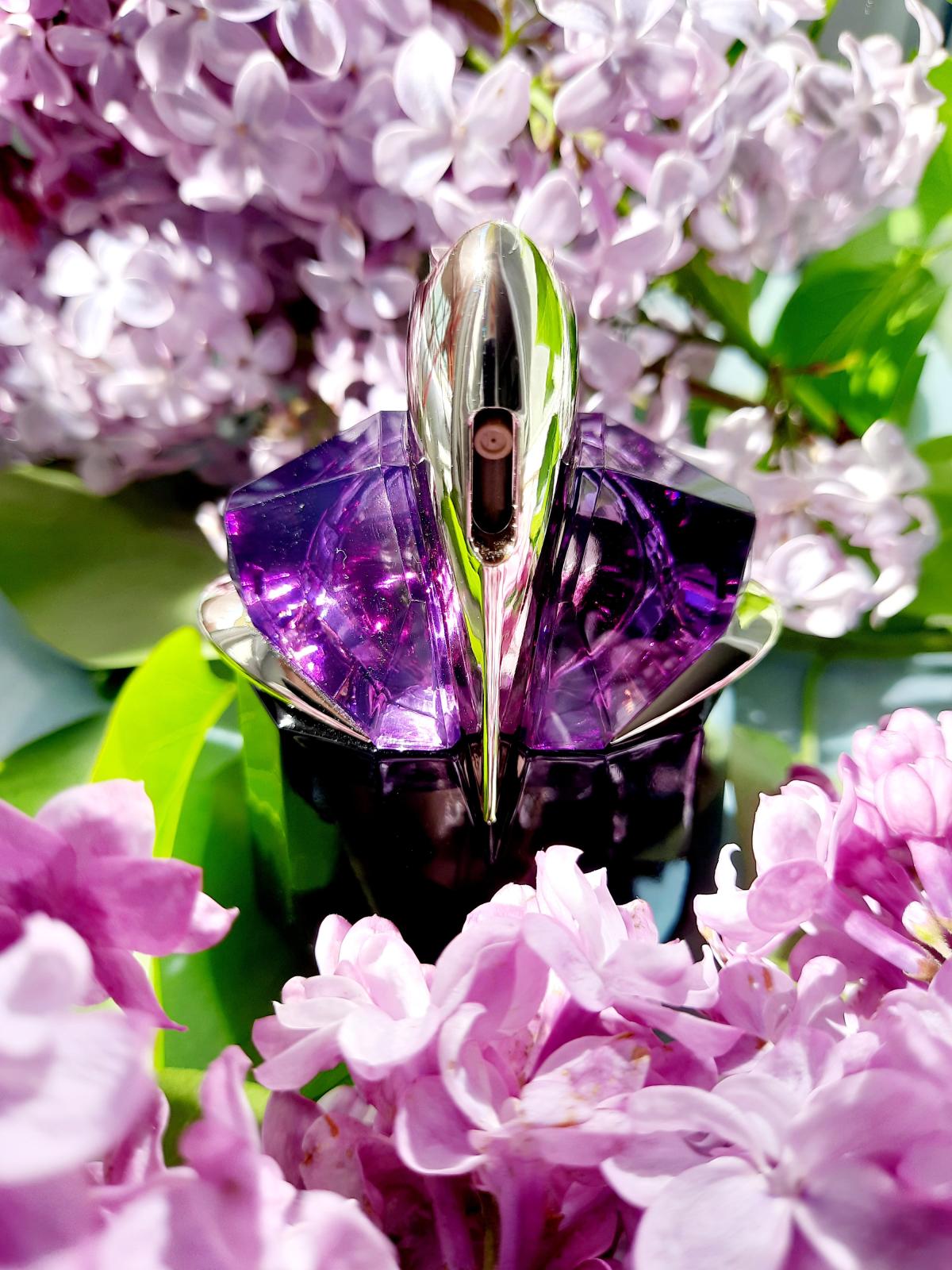 Alien Mugler perfume - a fragrance for women 2005