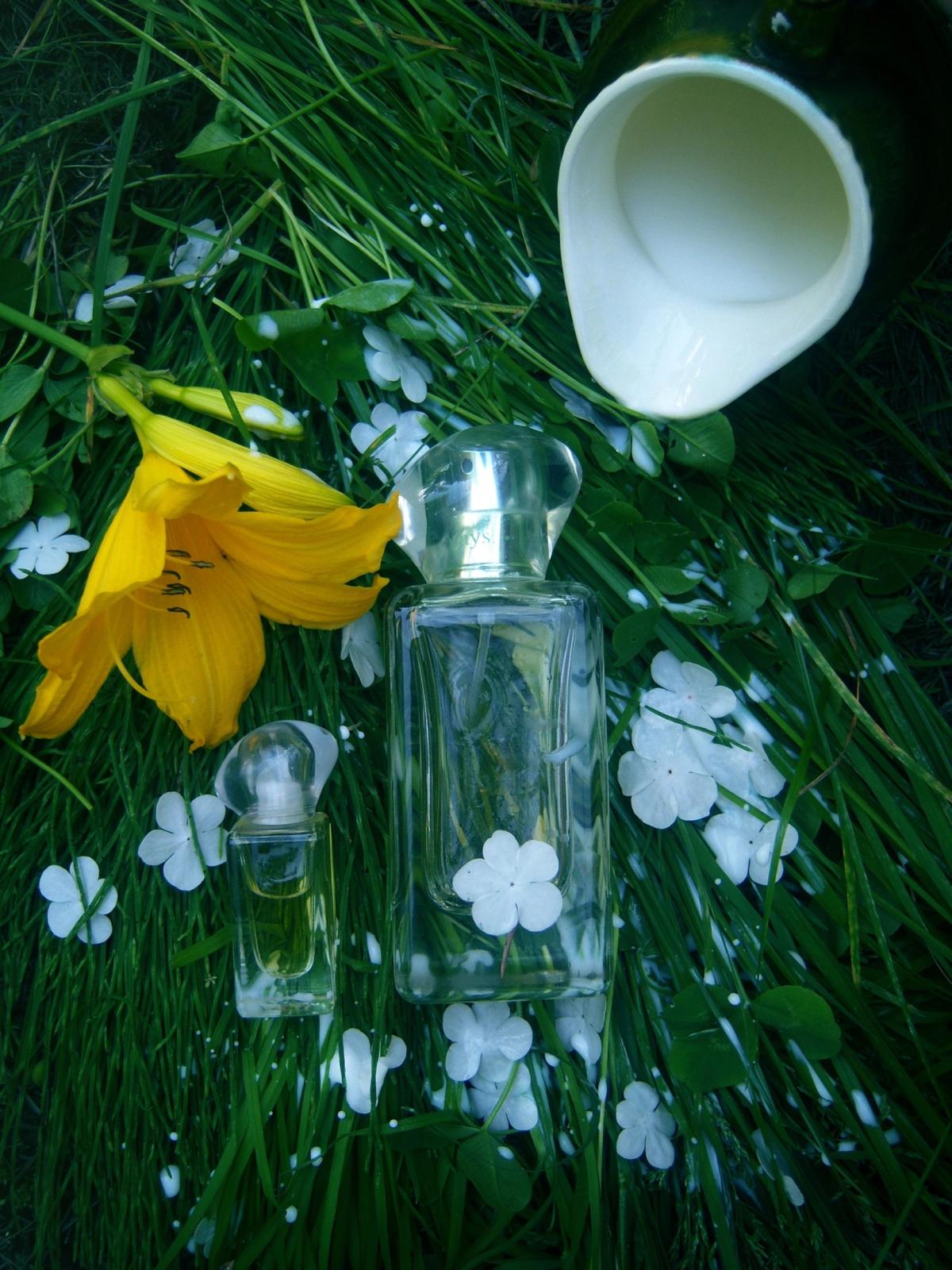 Always Avon perfume - a fragrance for women 2005