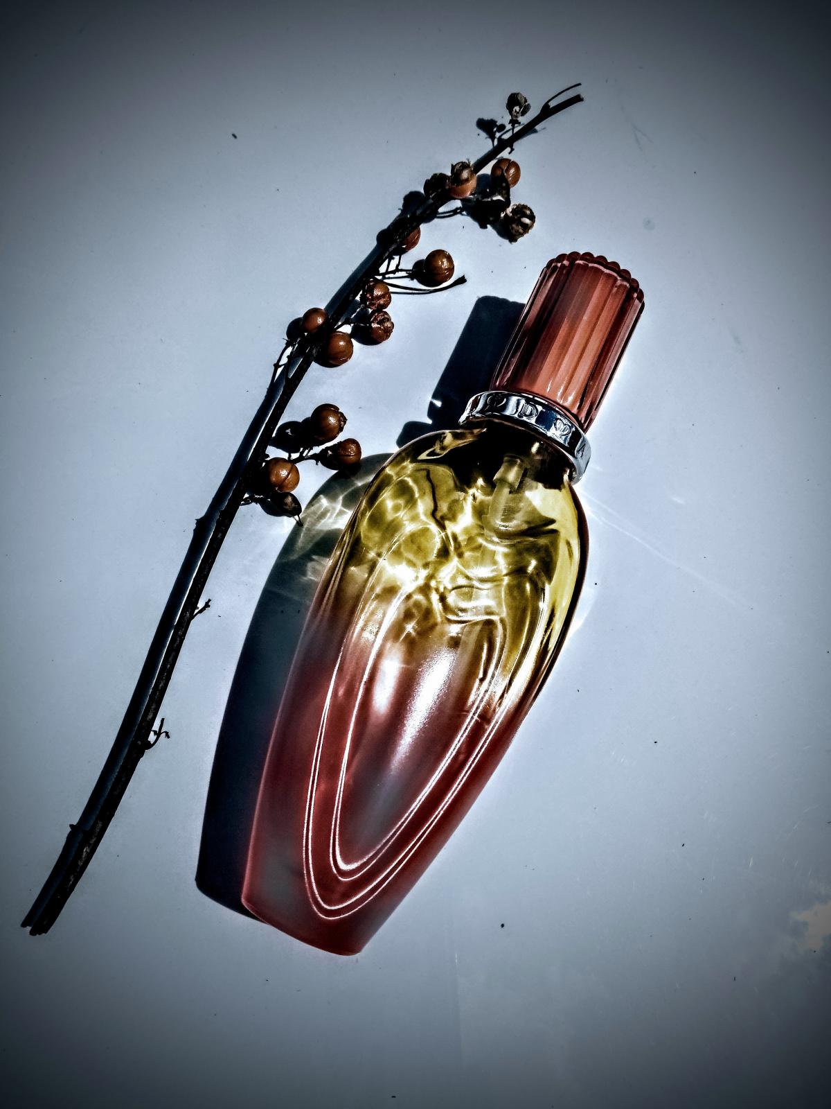 Sunset Heat Escada perfume - a fragrance for women 2007