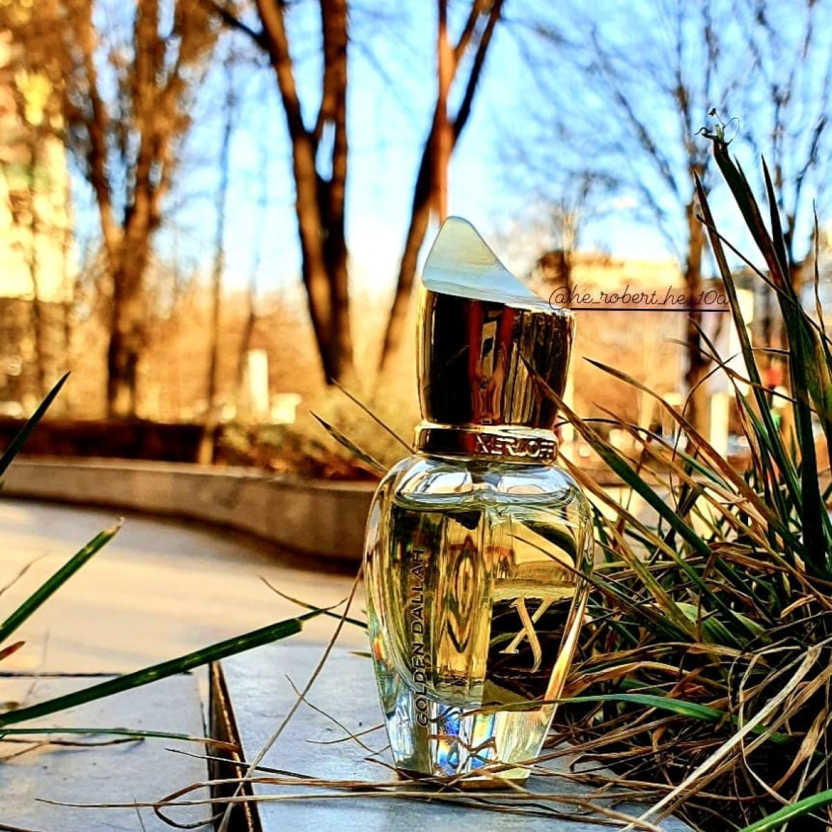 Golden Dallah Xerjoff perfume - a fragrance for women and men 2018