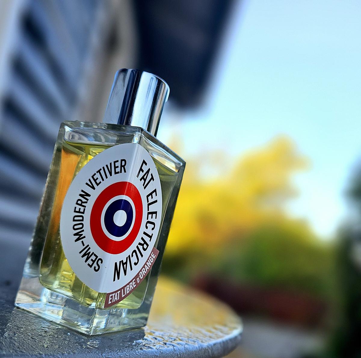 Fat Electrician Semi-Modern Vetiver Etat Libre d'Orange cologne - a ...