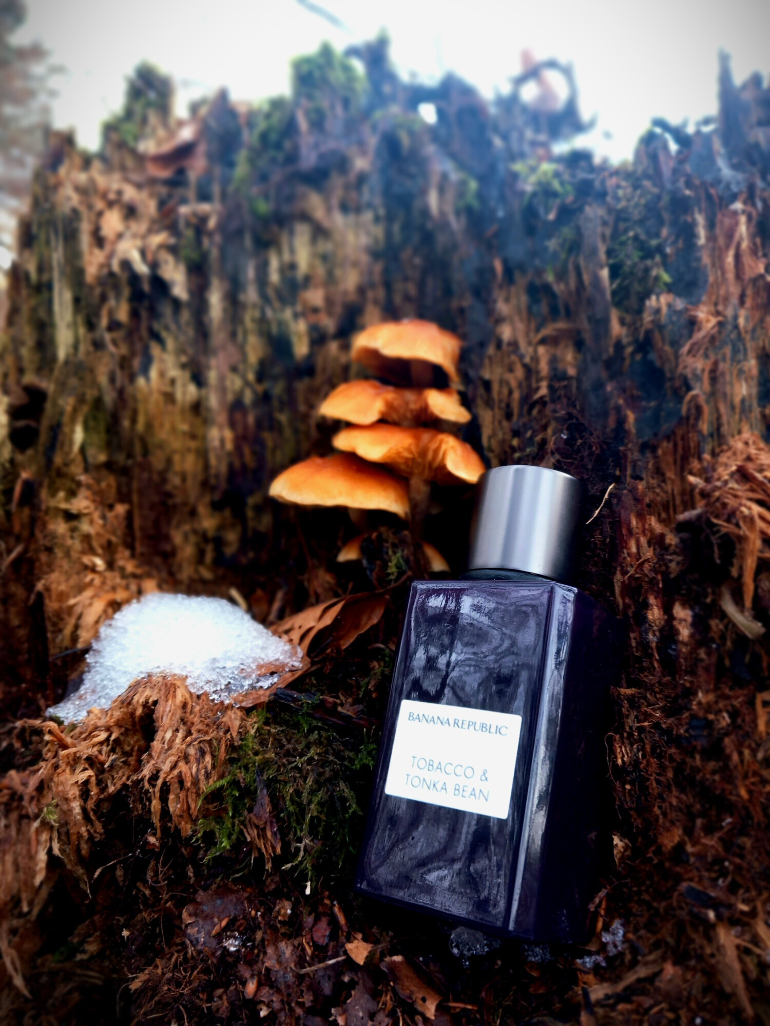 Tobacco & Tonka Bean Banana Republic perfume - a fragrance for women ...