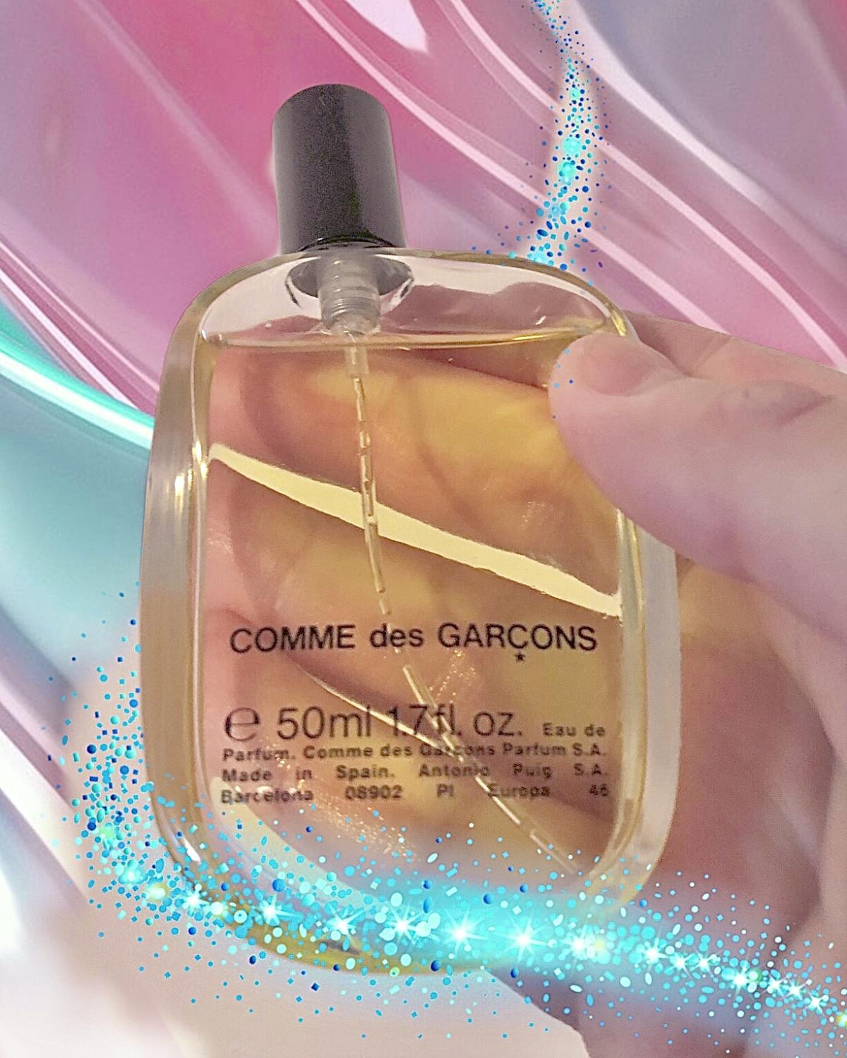 Comme des Garcons Comme des Garcons perfume - a fragrance for women and ...