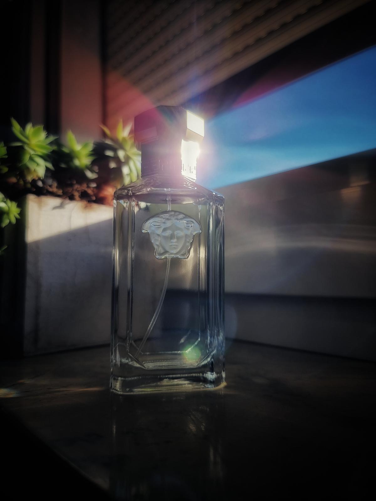 The Dreamer Versace cologne - a fragrance for men