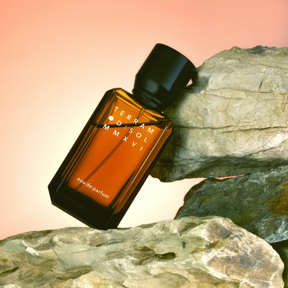 TERRAM D:SOL MMXVI perfume - a fragrance for women and men 2020