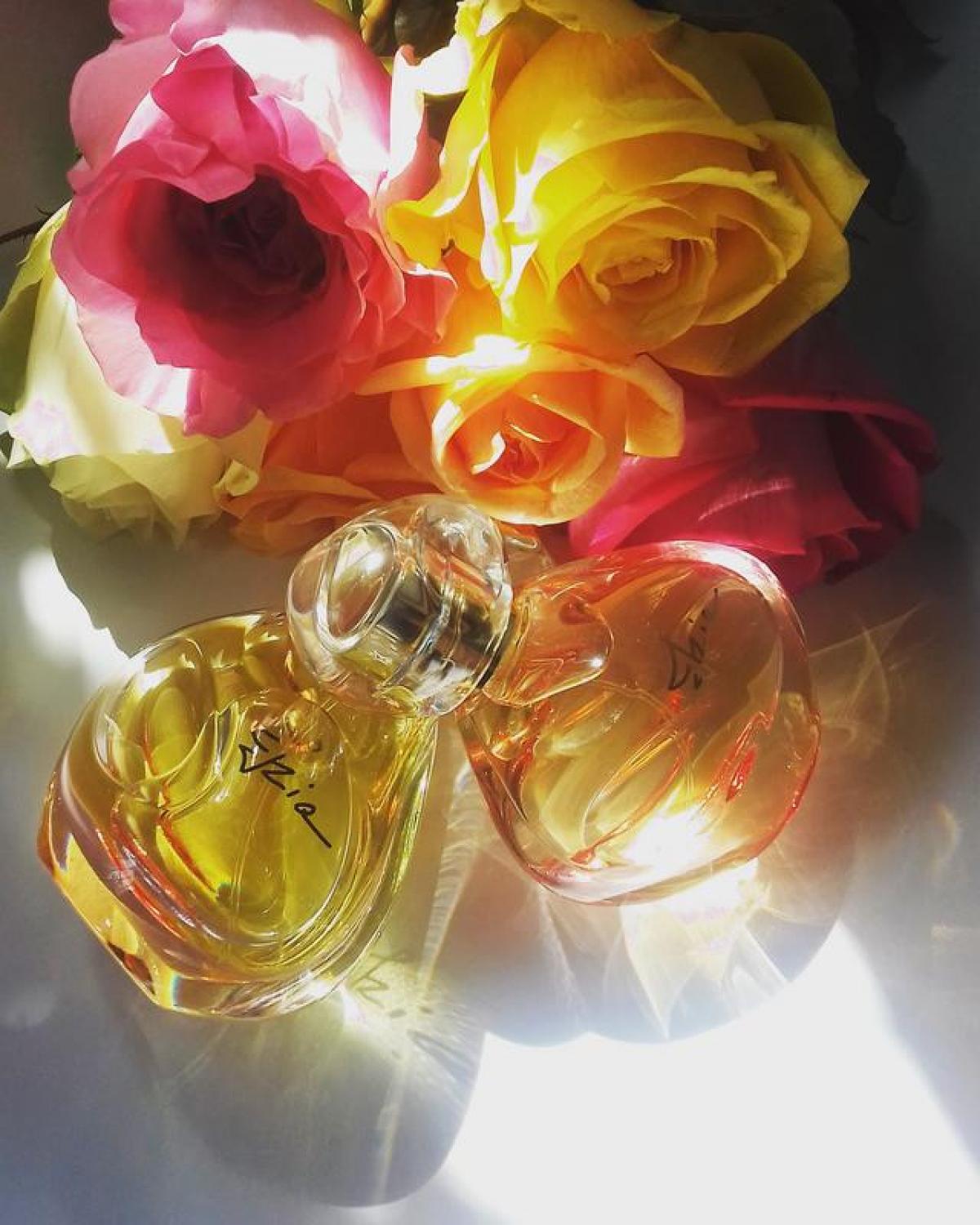 Izia Sisley perfume - a fragrance for women 2017