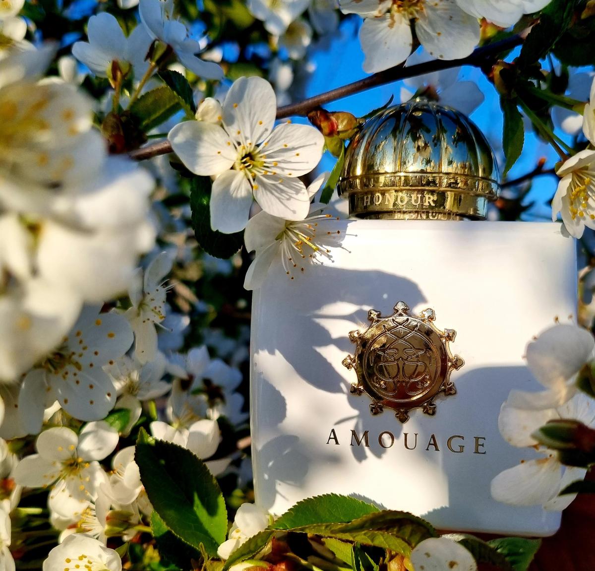 Honour Woman Amouage perfume - a fragrance for women 2011