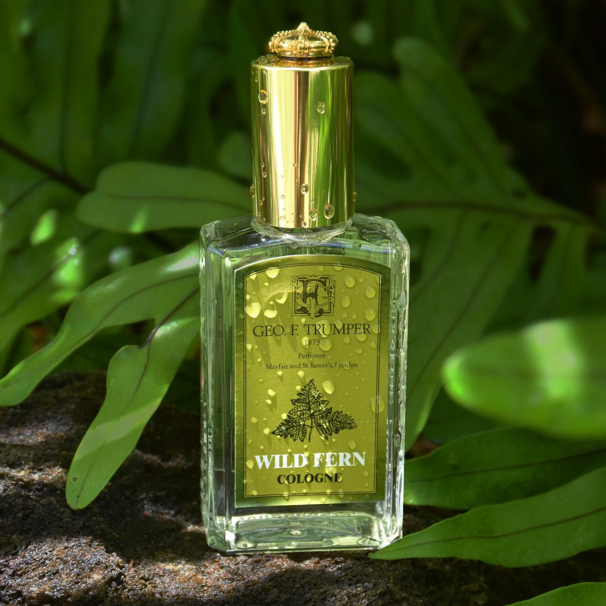 Wild Fern Cologne Geo. F. Trumper cologne - a fragrance for men 1877