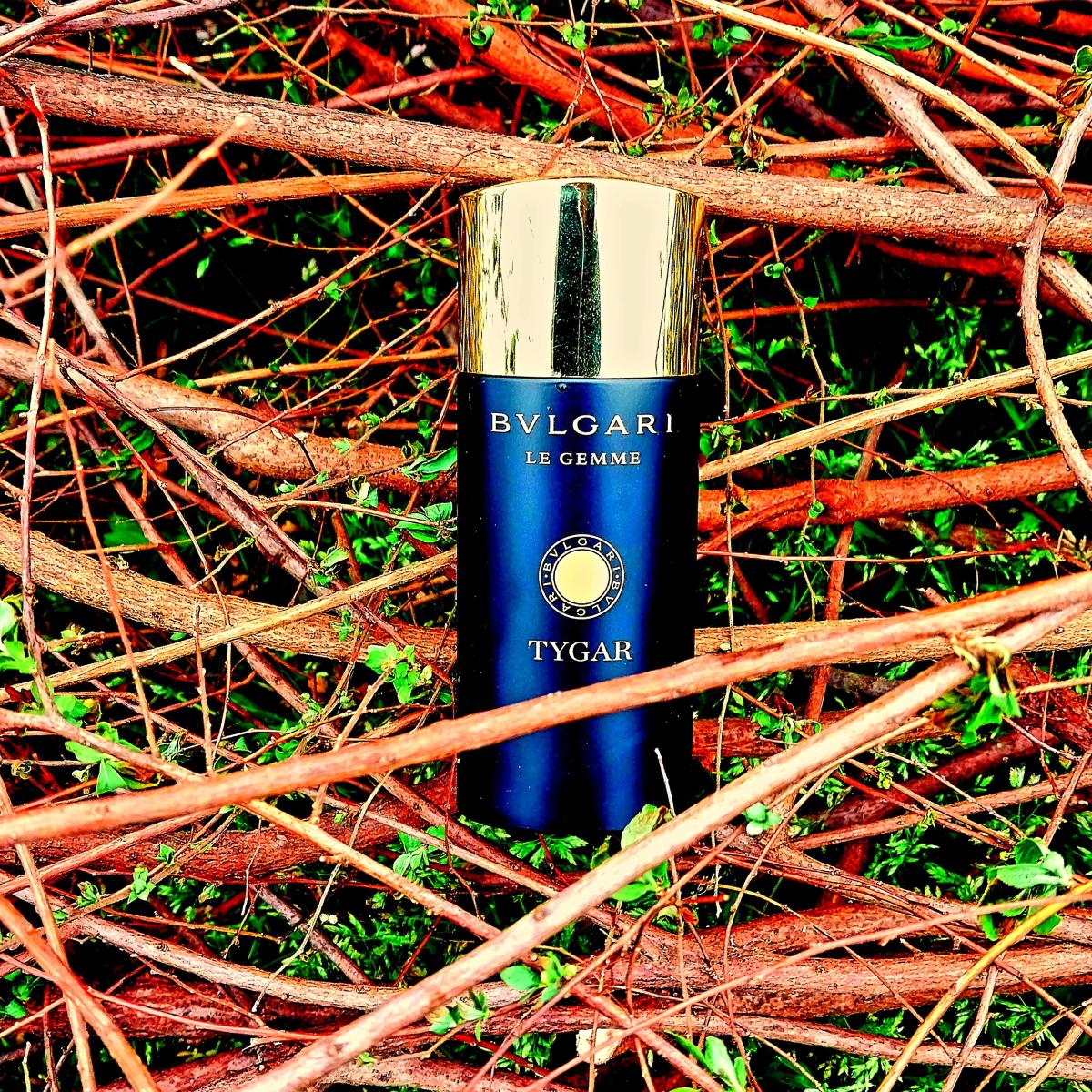 Tygar Bvlgari cologne - a fragrance for men 2016