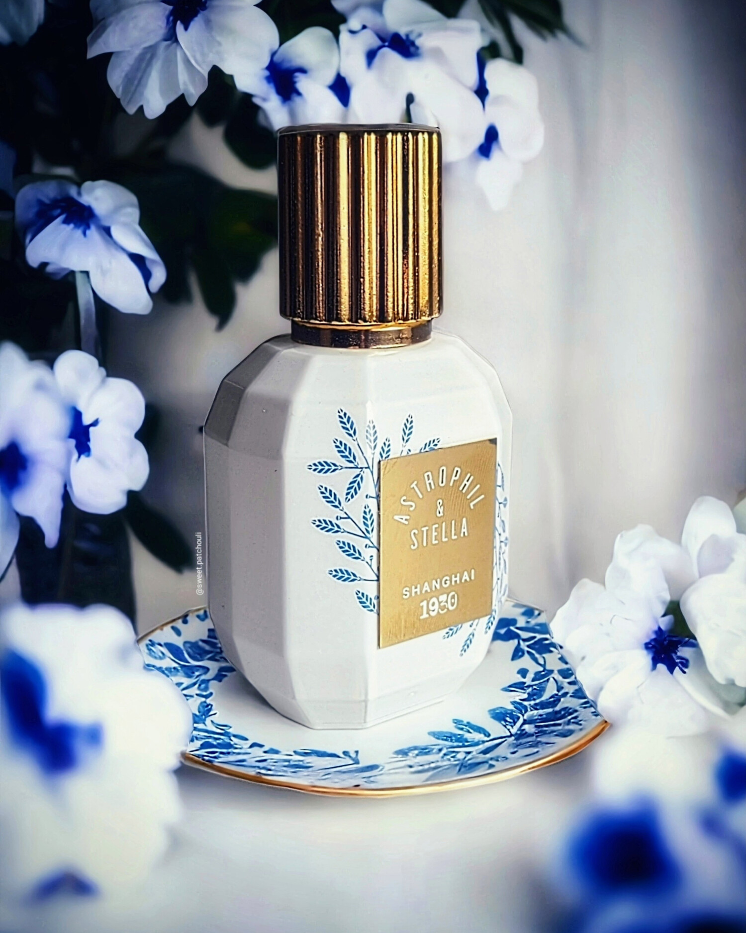 Shanghai 1930 Astrophil & Stella perfume - a fragrance for women and ...
