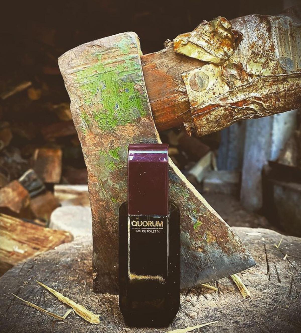 Quorum Antonio Puig cologne - a fragrance for men 1981