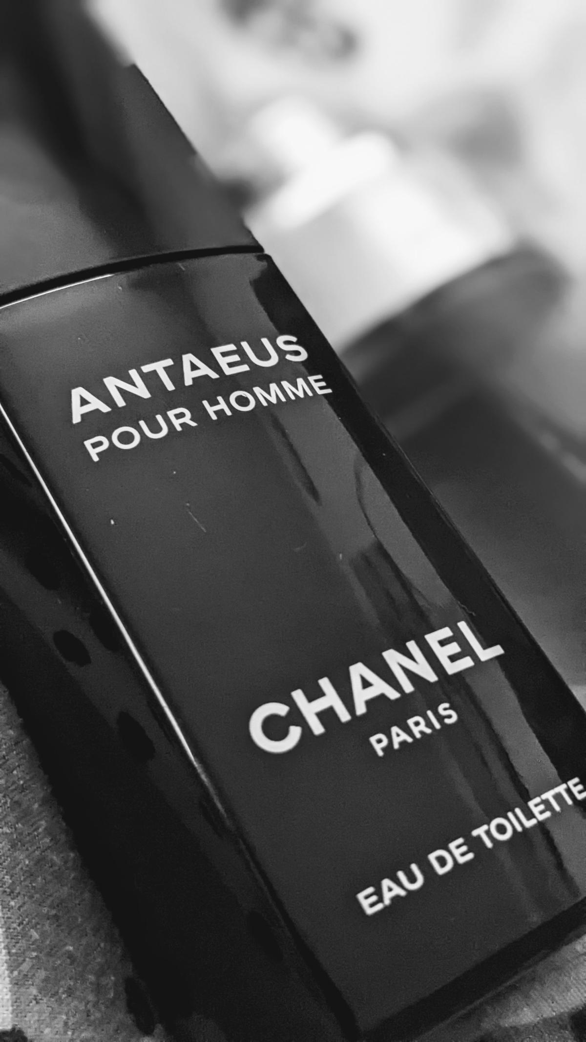 Antaeus Chanel Colônia - a fragrância Masculino 1981